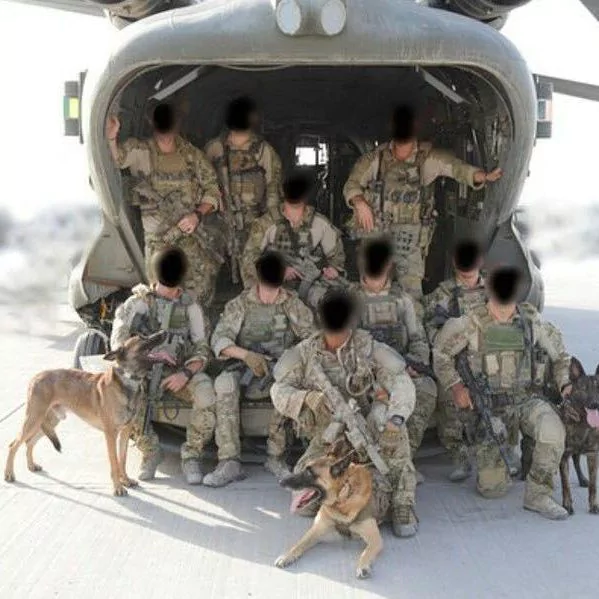 SAS (2) • Spotter Up
