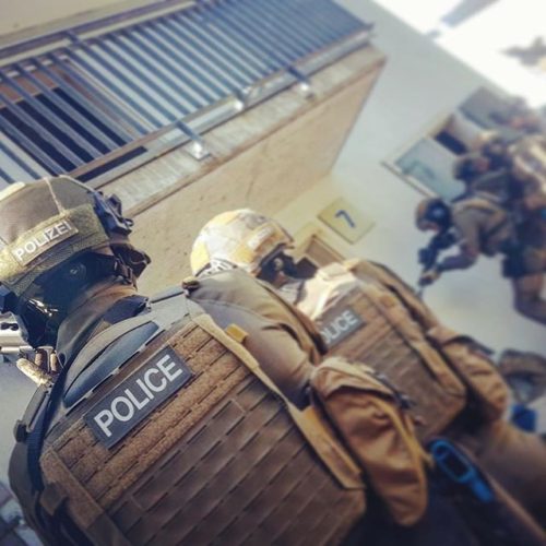 Project Gecko • Spotter Up