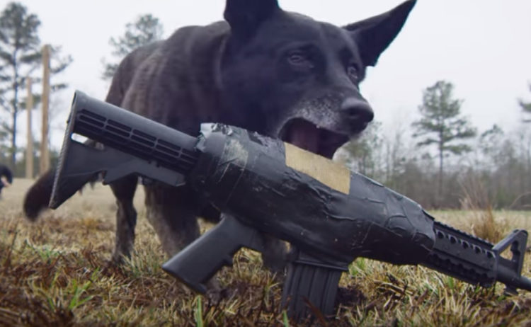 How To Train A Dog To Fetch - Dog Training for Far Cry 5 • Spotter Up