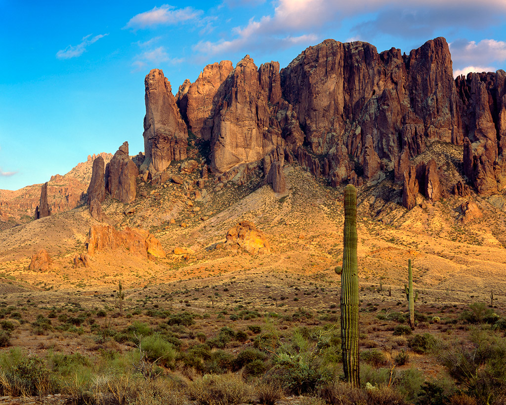 Desert Safety & Survival — Don’t Become a Statistic • Spotter Up