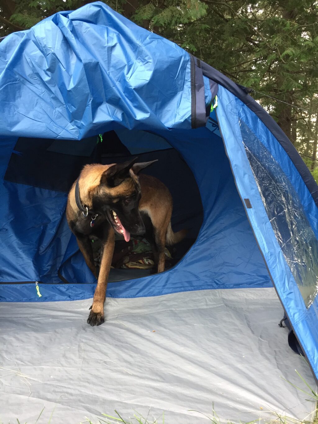 Highlander Outdoors - roving all terrain • Spotter Up