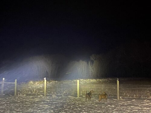 HRT Advanced Weapon Light • Spotter Up