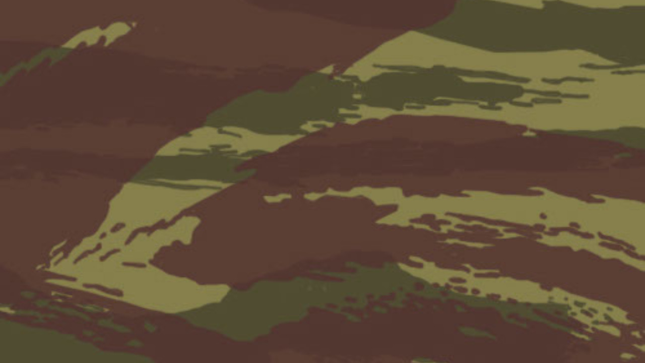 French Lizard Pattern Spotterup • Spotter Up