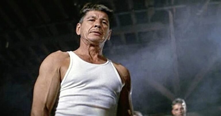 The 5 Best Charles Bronson Movies and Why They Are Timeless Classics • Spotter Up
