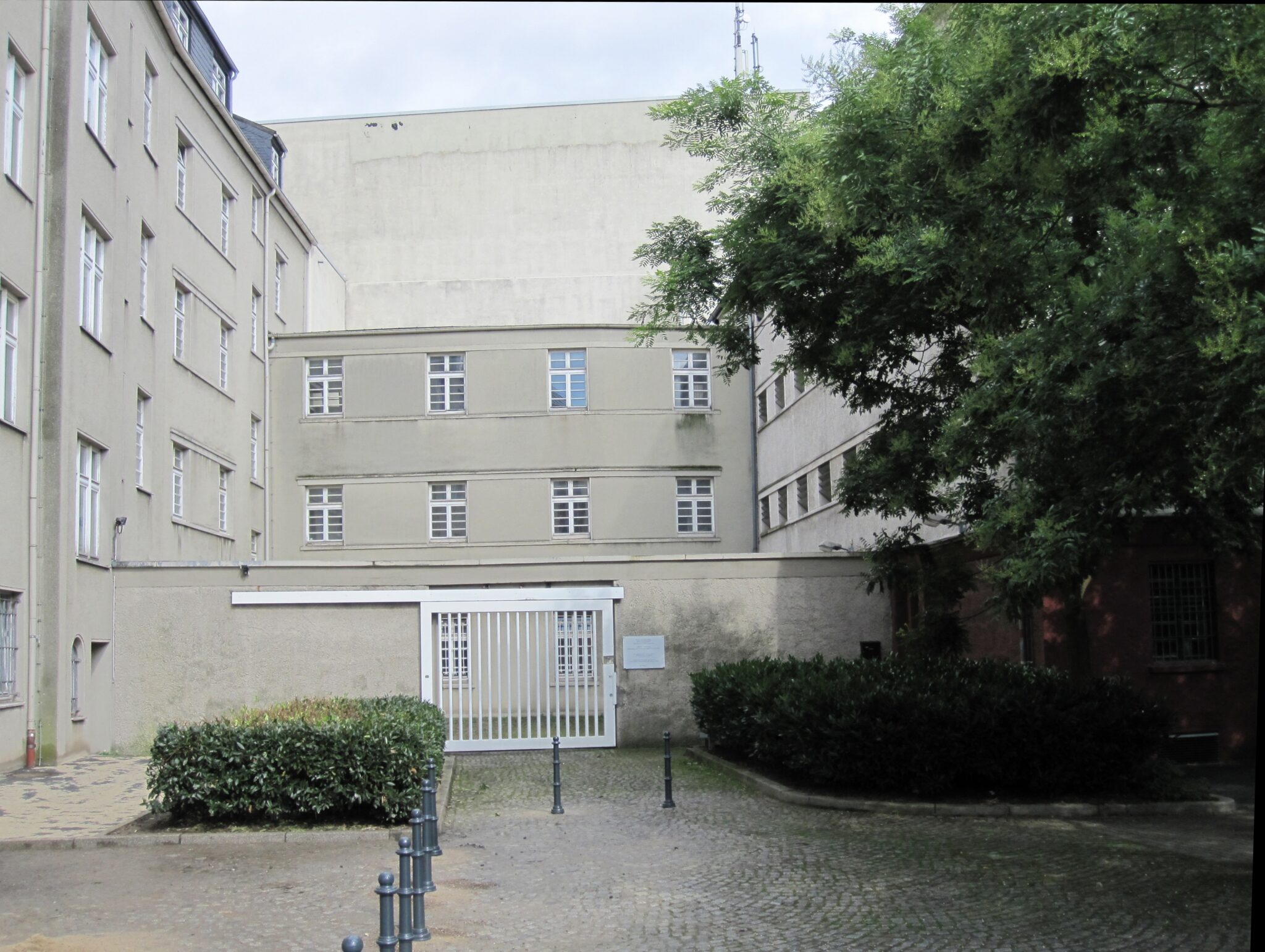 Bruce Dowding: The Aussie Hero of the French Resistance • Spotter Up