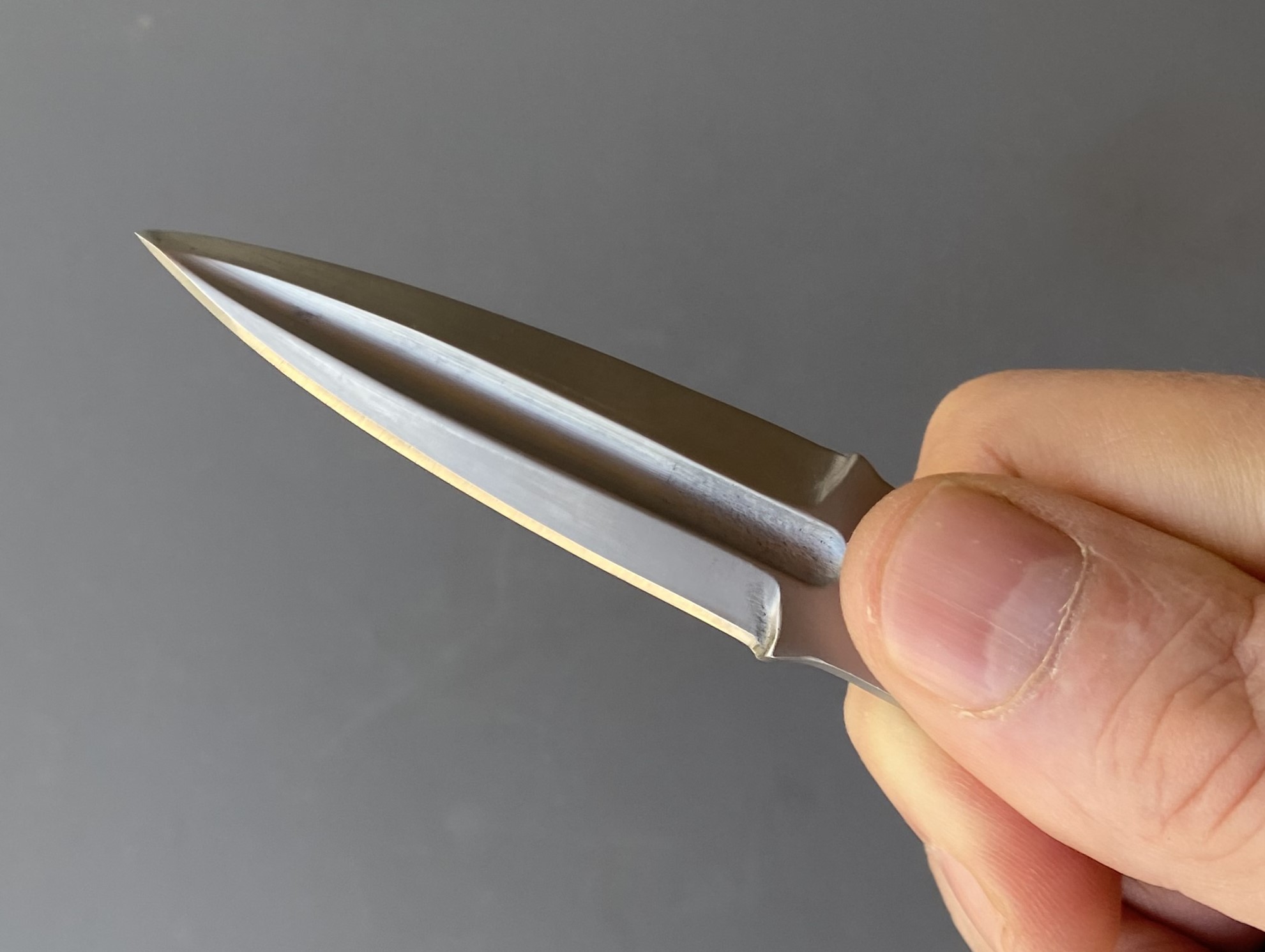 Hard Case Survival Lapel Dagger • Spotter Up