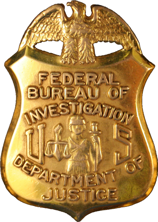 Secret Warriors: The FBI’s Special Intelligence Service During World ...