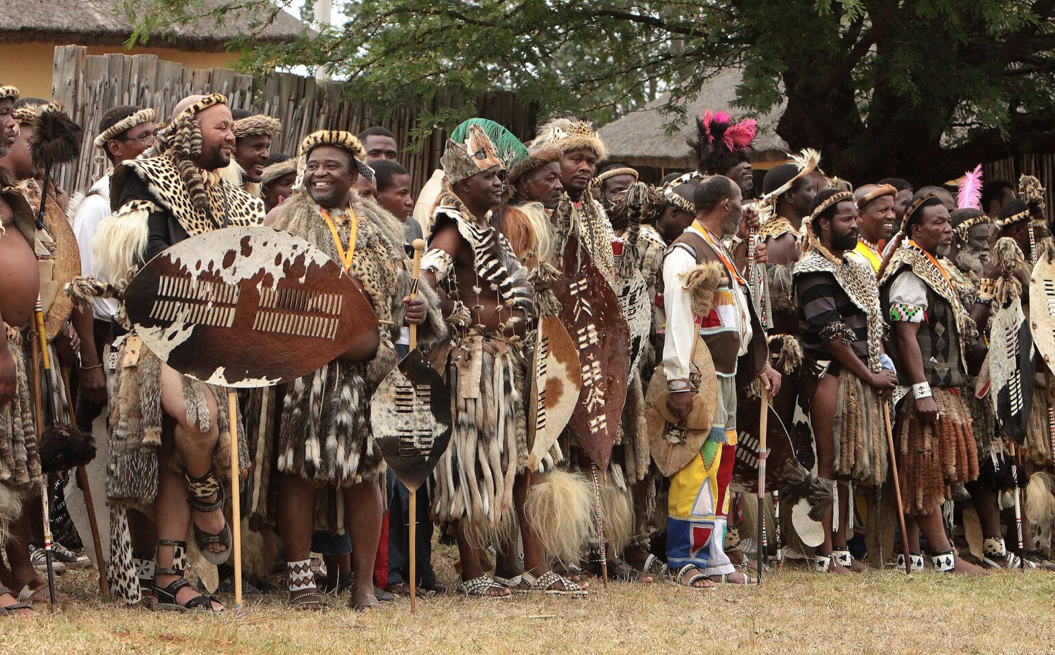 Zulu Warriors: A Legacy of Courage and Battle Prowess • Spotter Up