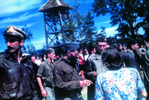 Operation Halyard: Daring WWII Rescue Mission • Spotter Up