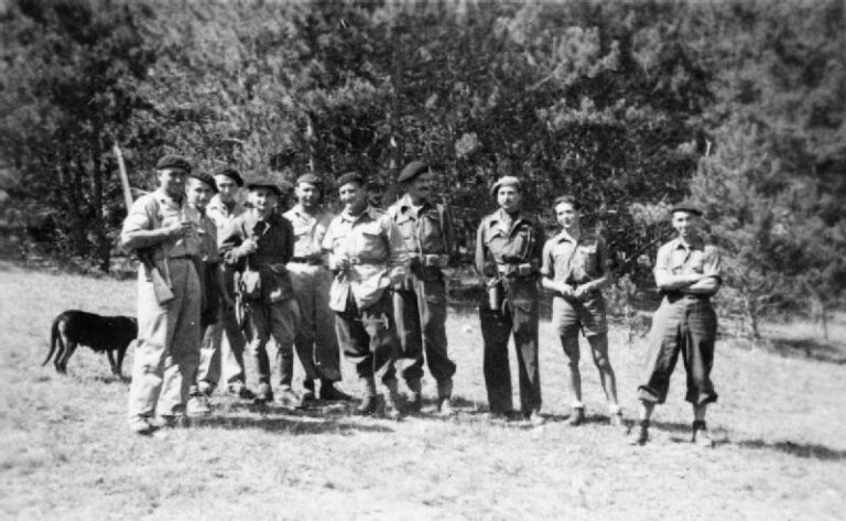 The Maquis: French Resistance in World War II • Spotter Up