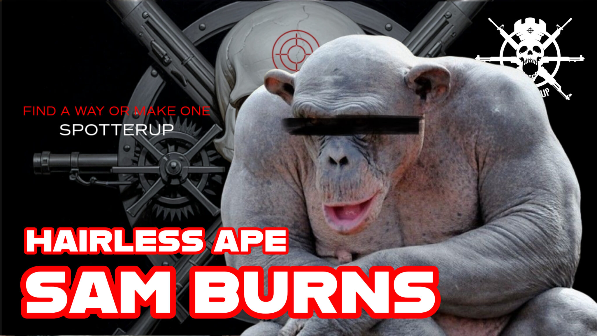 My project (4) • Spotter Up